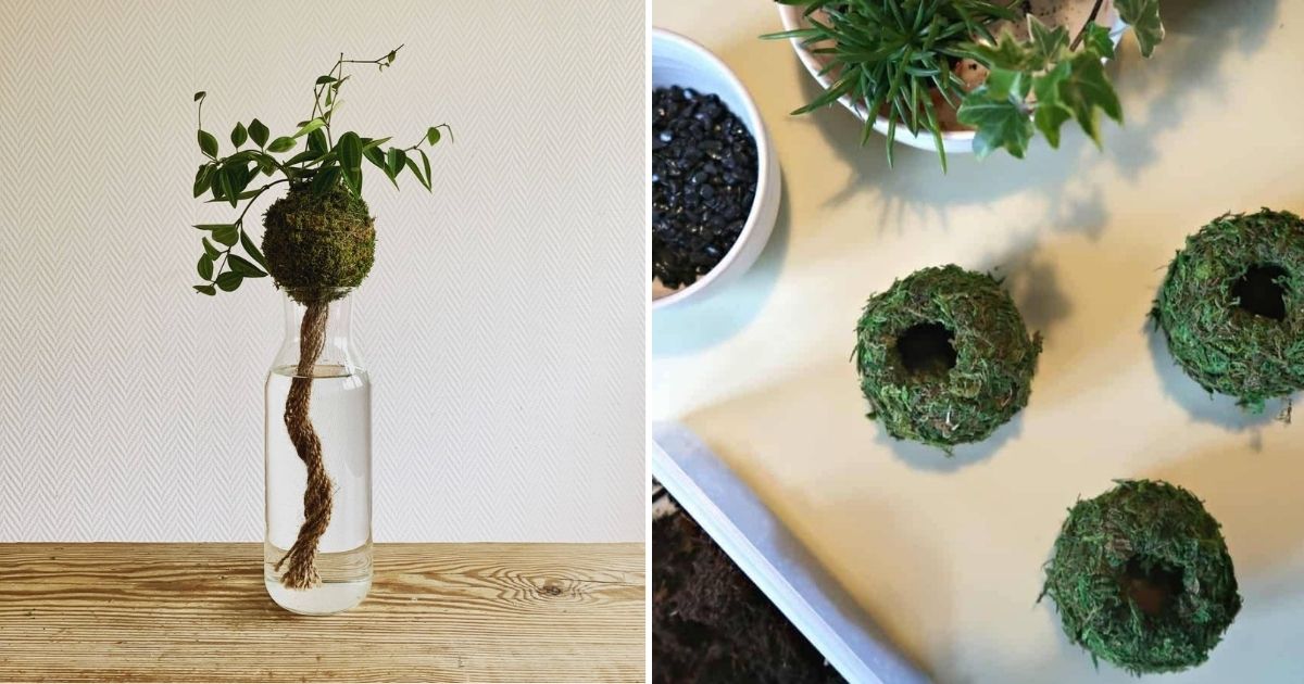 How To Make A Kokedama: A Step-by-Step Guide To The Japanese Art of ...