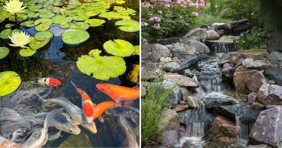 30 Backyard Pond Ideas You’ll Love: From Modern To Rustic