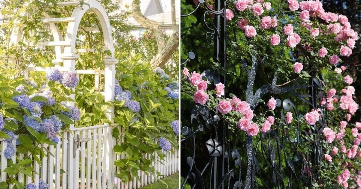 30 Garden Gate Ideas To Make A Strong Impression
