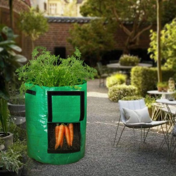 9 Easy Steps To Harvest Fresh And Crunchy Carrots From A Bag