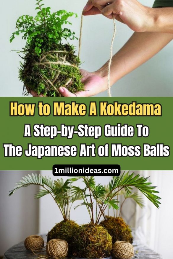 How to Make A Kokedama: A Step-by-Step Guide To The Japanese Art of ...