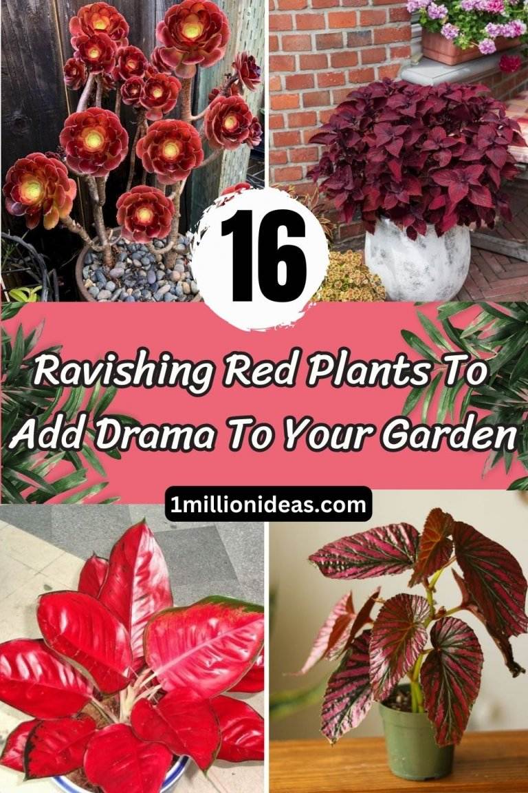 16 Ravishing Red Plants To Add Drama To Your Garden