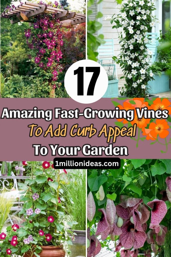 17 Amazing Fast-Growing Vines To Add Curb Appeal To Your Garden