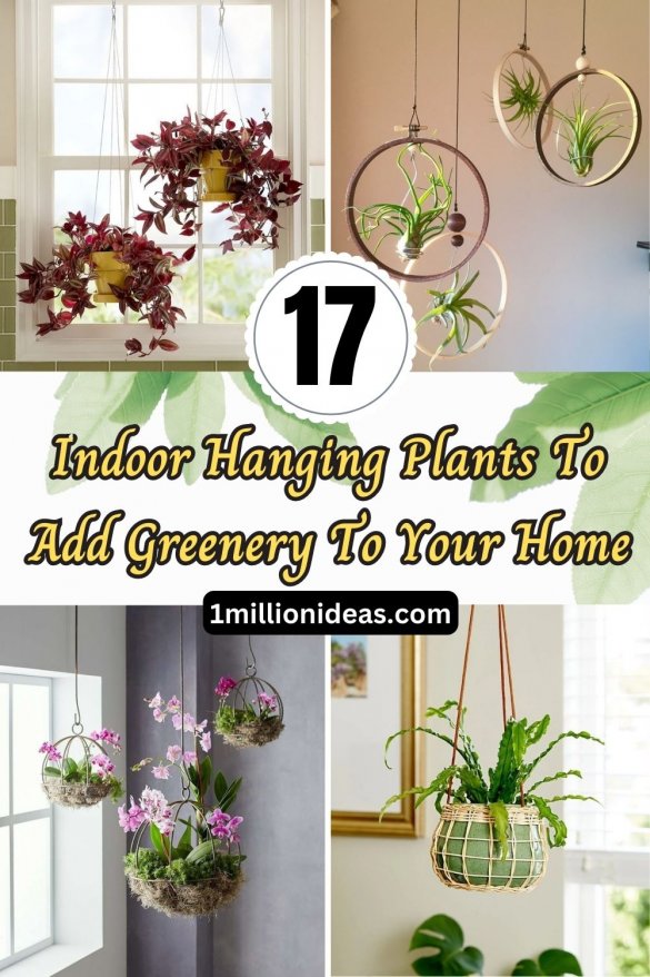 17 Indoor Hanging Plants To Add Greenery To Your Home