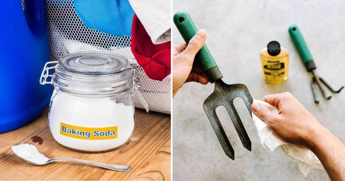 8 Clever Hacks To Use Baking Soda In The Garden