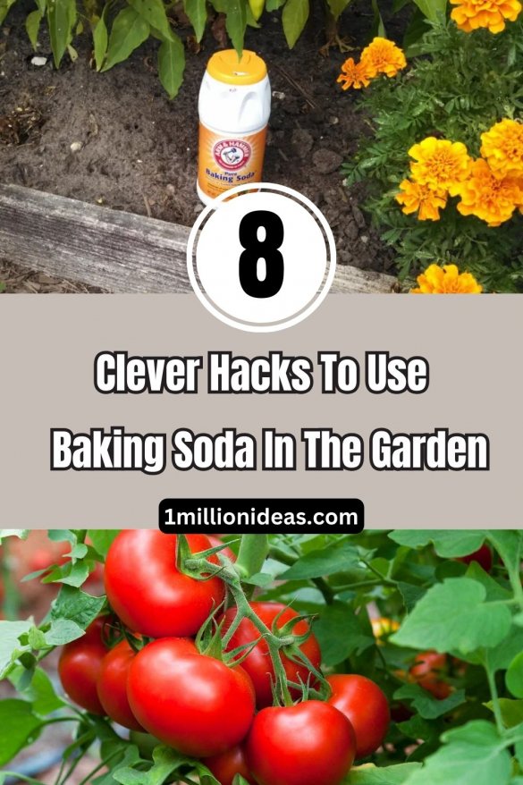 8 Clever Hacks To Use Baking Soda In The Garden