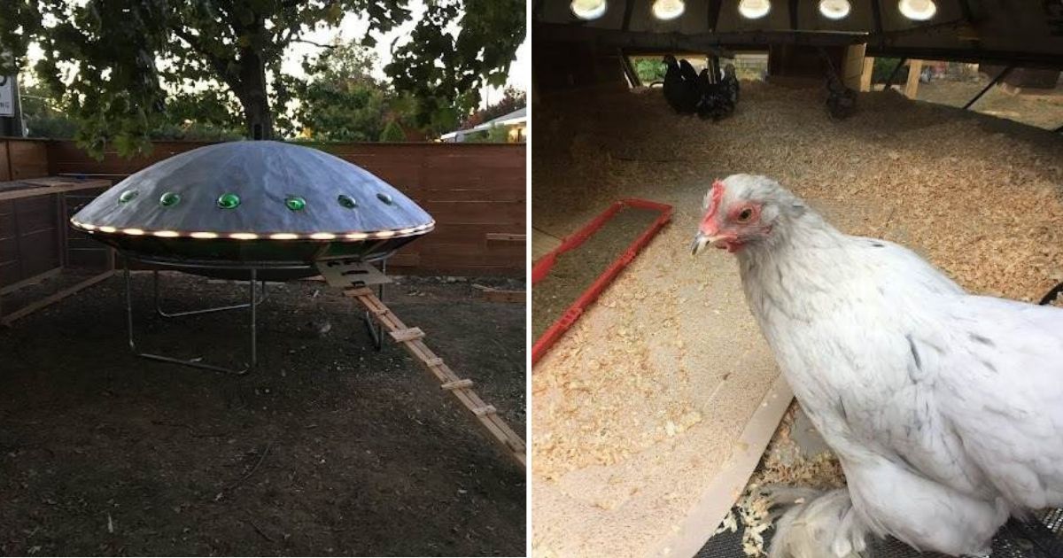 The Guide To Creating A UFO Chicken Coop That Will Blast Your Chickens ...