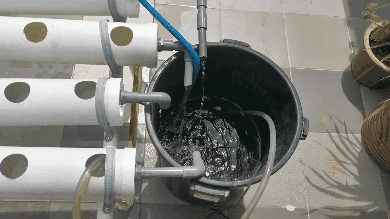 How To Make A DIY Hydroponics Growing System In 6 Easy Steps