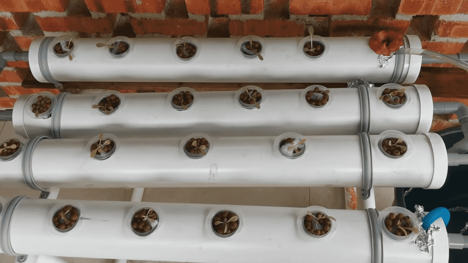 How To Make A DIY Hydroponics Growing System In 6 Easy Steps