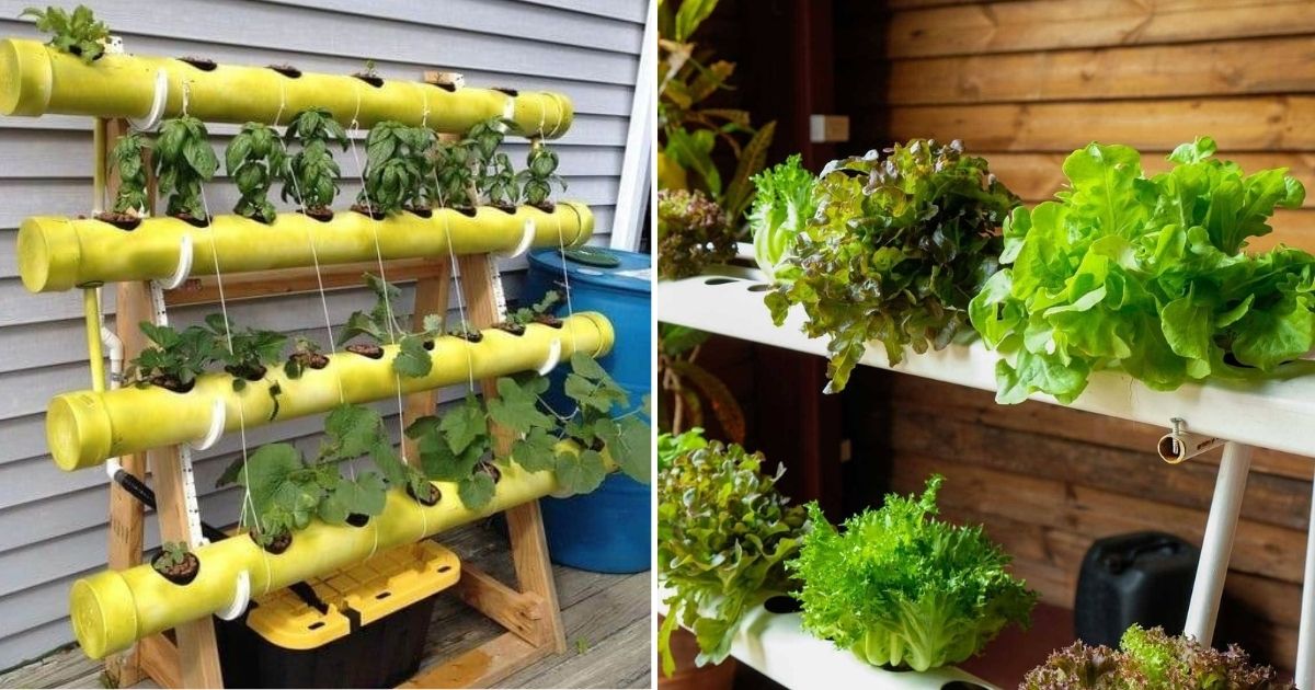How To Make A DIY Hydroponics Growing System In 6 Easy Steps
