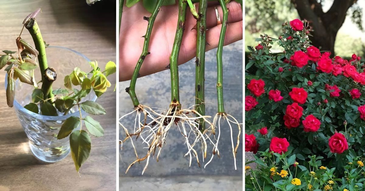 23 DIY Projects with Old Hand Pumps To Outstanding Your Garden