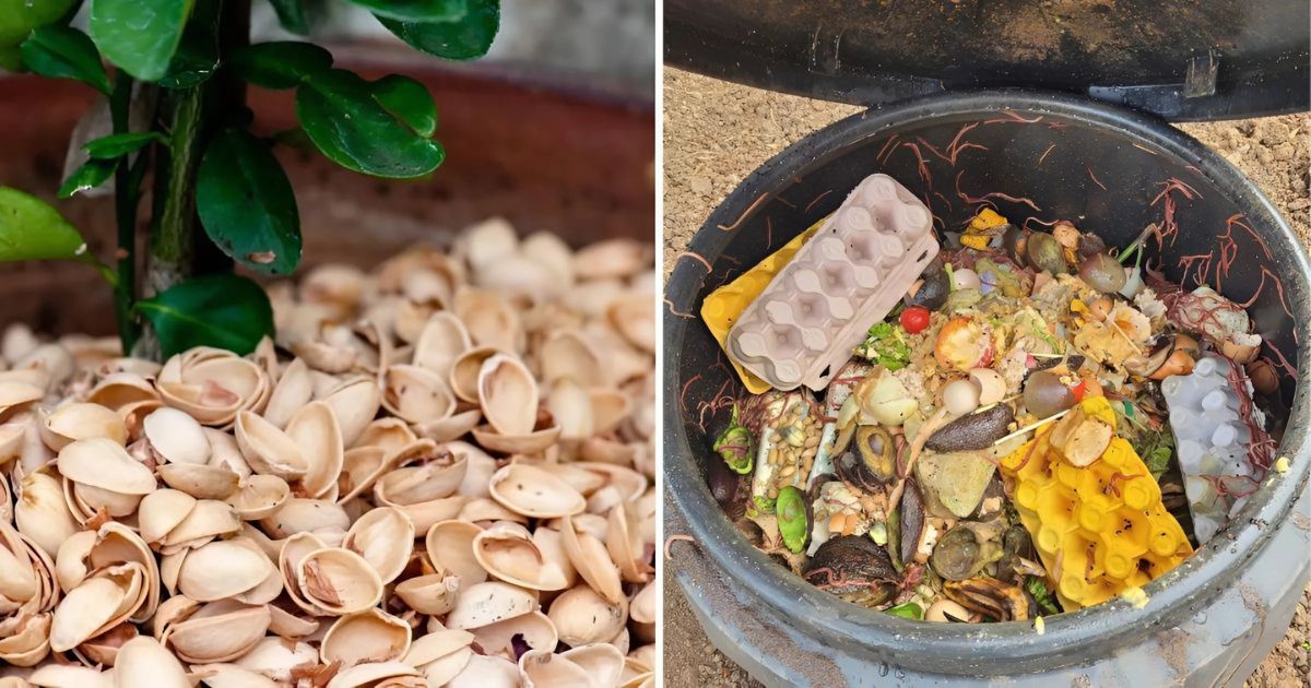 How To Save Your Dying Orchid With Just One Ingredient