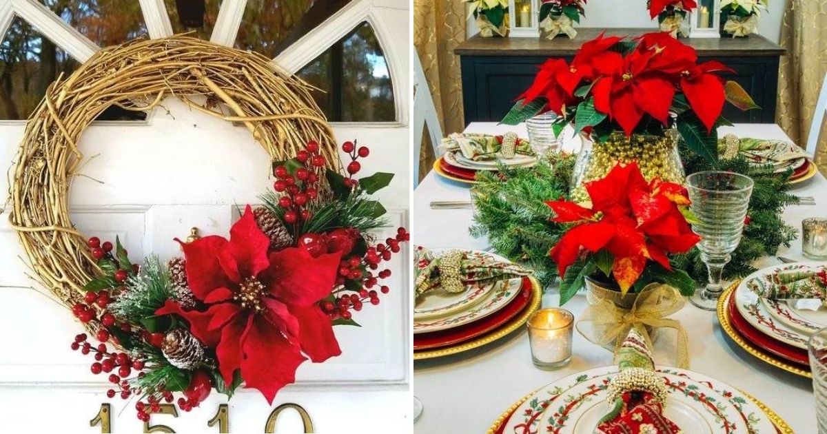 16 Ideas For Poinsettia Decor To Brighten Up Your Home For The Holidays