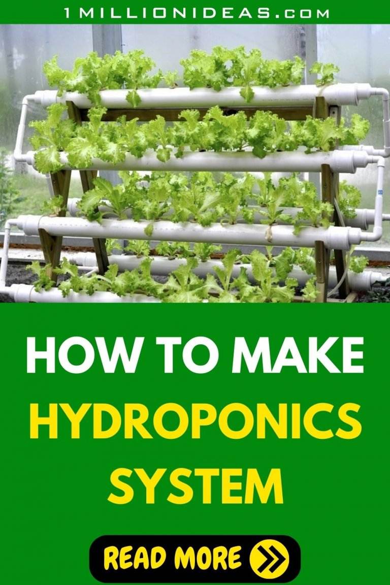 How To Make A DIY Hydroponics Growing System In 6 Easy Steps