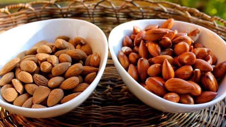 The Best And Easiest Method To Grow An Almond Tree From Seeds At Home
