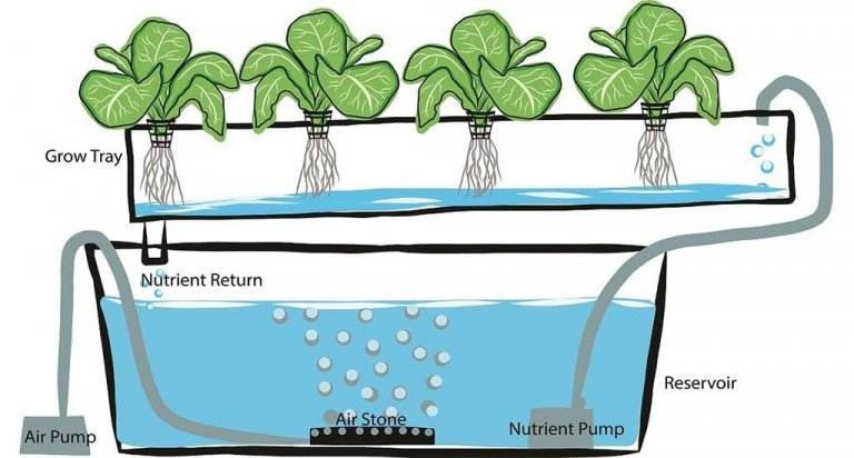How To Make A DIY Hydroponics Growing System In 6 Easy Steps