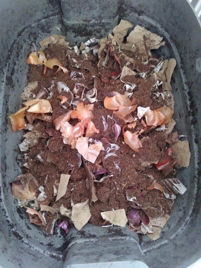 10 Onion Skin Uses That Will Make You Think Twice Before Throwing Them Away