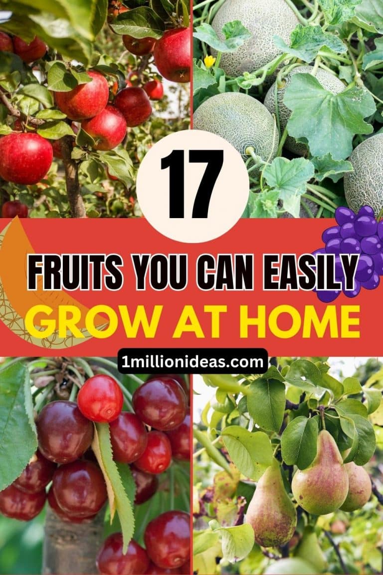 17 Fruits You Can Easily Grow At Home And Enjoy Fresh Produce