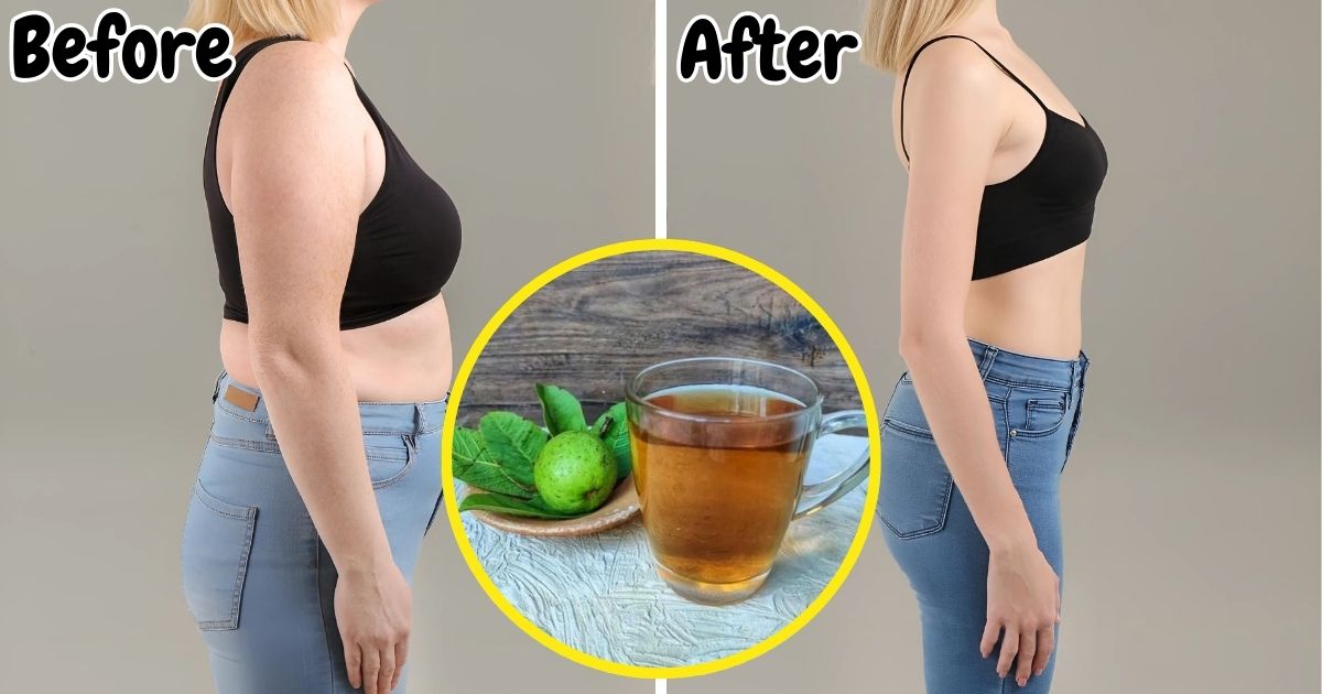 14 Different Runner Plant Types To Grow Indoors And Outdoors