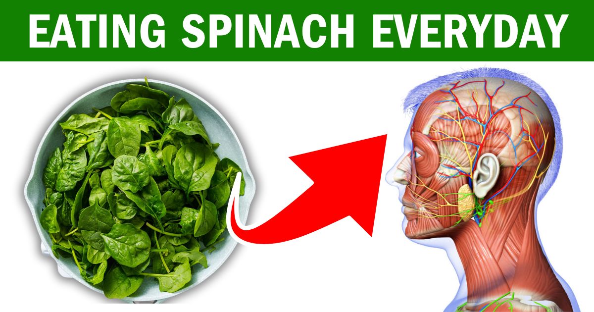 Why Eating Spinach Every Day Is a Health Game-Changer You Can’t Ignore