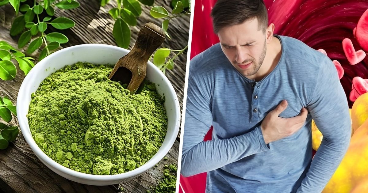 10 Rose Color Meanings You Must Know Before Buying