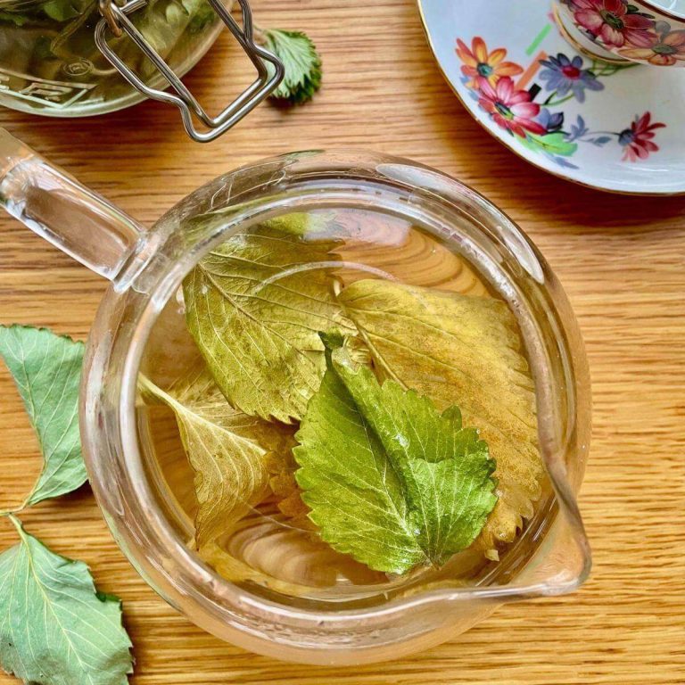 10 Incredible Health Benefits of Strawberry Leaves You Need to Know