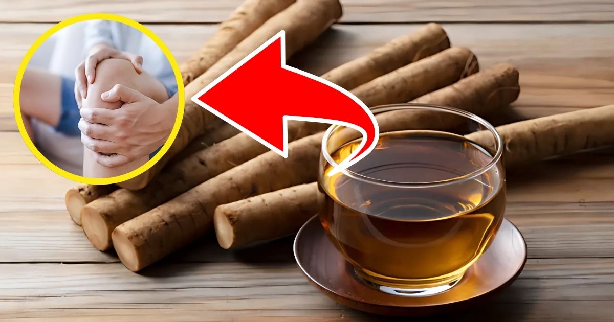 The Powerful Health Benefits of Burdock Root Tea: A Natural Detox and ...