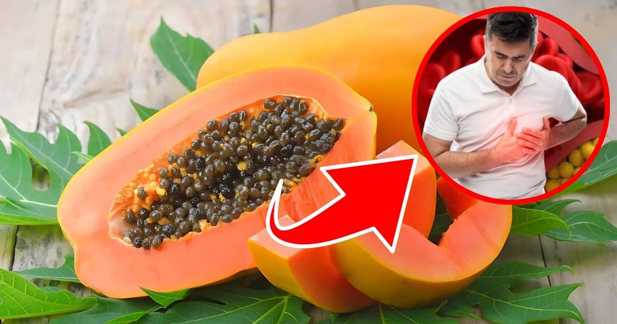 Unlocking 8 Health Benefits of Papaya Seeds: The Hidden Gem in Your Fruit Unlocking 8 Health Benefits of Papaya Seeds: The Hidden Gem in Your Fruit
