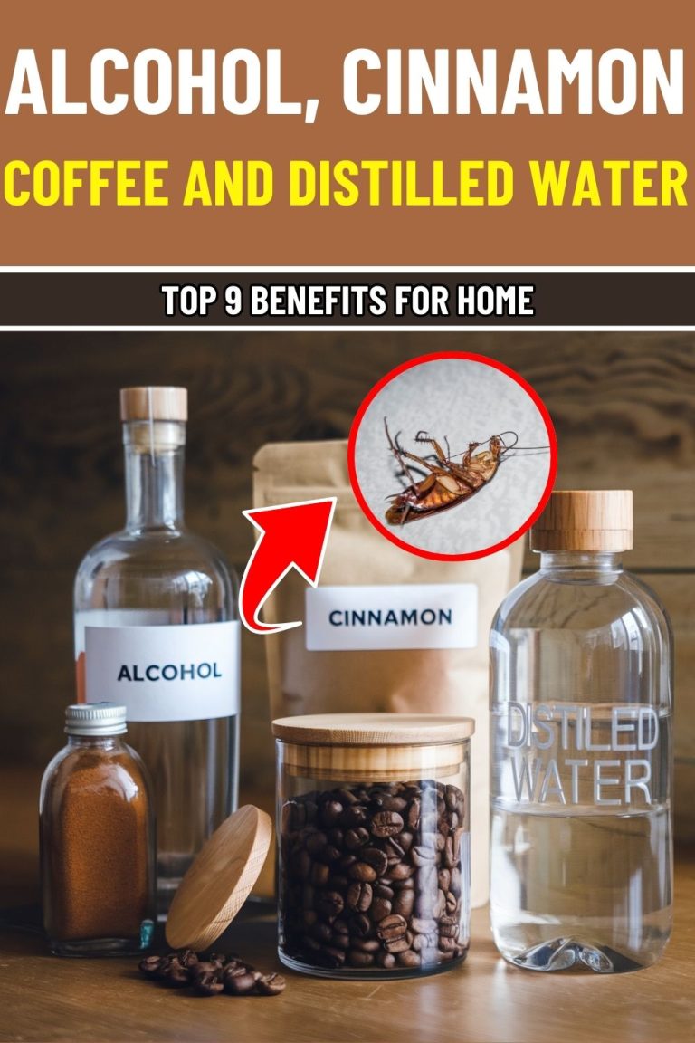 Keep Your Home Insect-Free with the Power of Alcohol, Cinnamon, Coffee ...