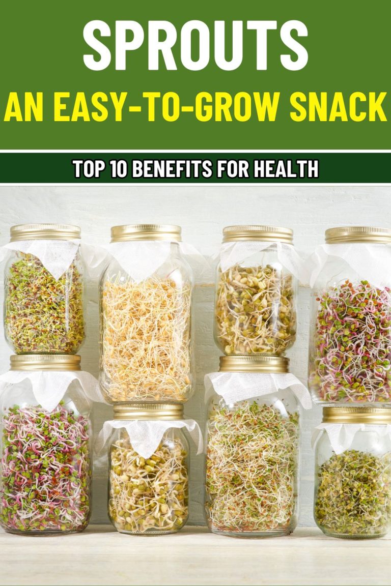10 Surprising Health Benefits of Sprouts and How to Grow Them at Home