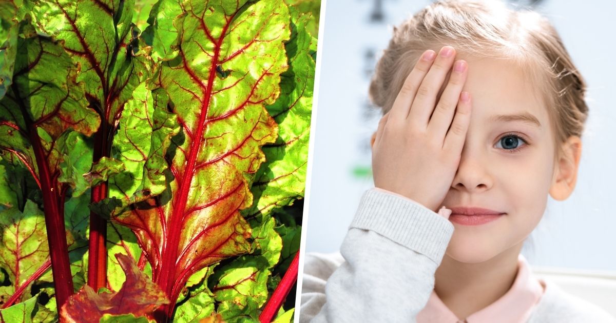 What Happens to Your Body When You Add Beetroot Leaves to Your Daily ...