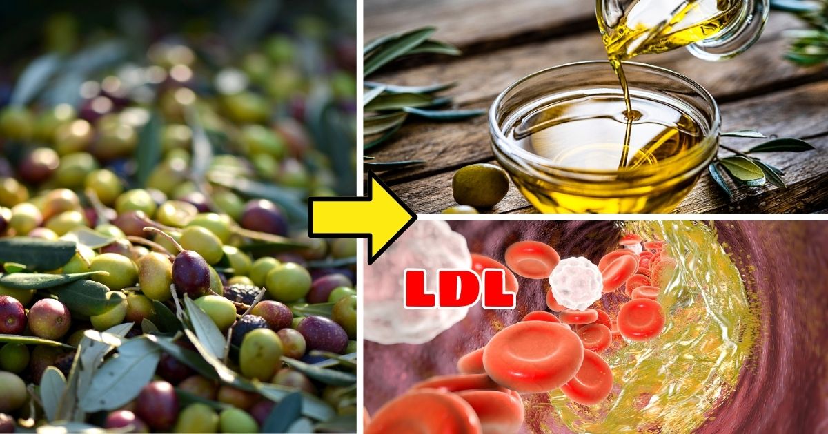Discover Secret Benefits of Olive Oil and How to Make It Yourself