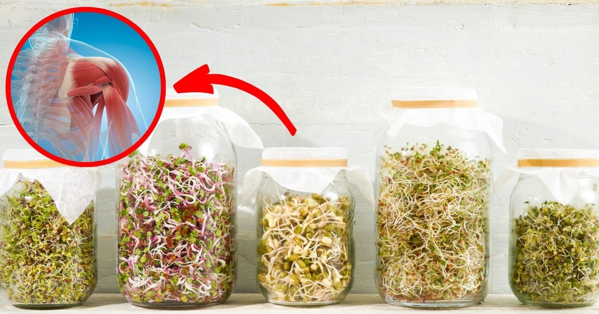 10 Surprising Health Benefits of Sprouts and How to Grow Them at Home