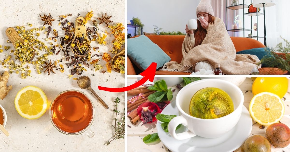 Flu and Cold Tea Bombs: The Natural Remedy That Combines Health and ...