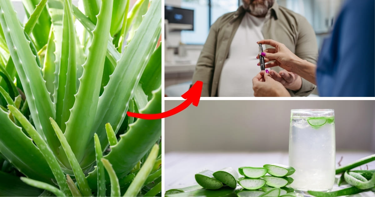 The Ultimate Guide to Aloe Vera Juice: Benefits, Uses, and Precautions