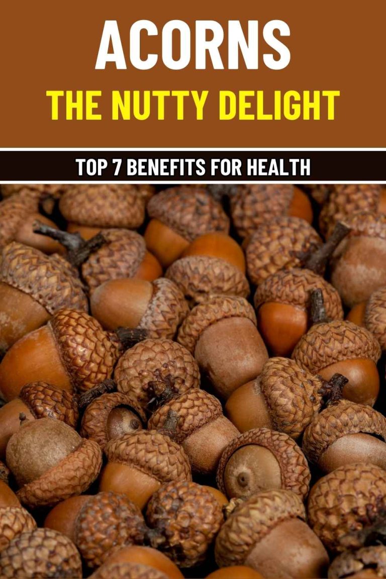 The Power of Acorns: Unlocking Their Nutritional and Health Benefits