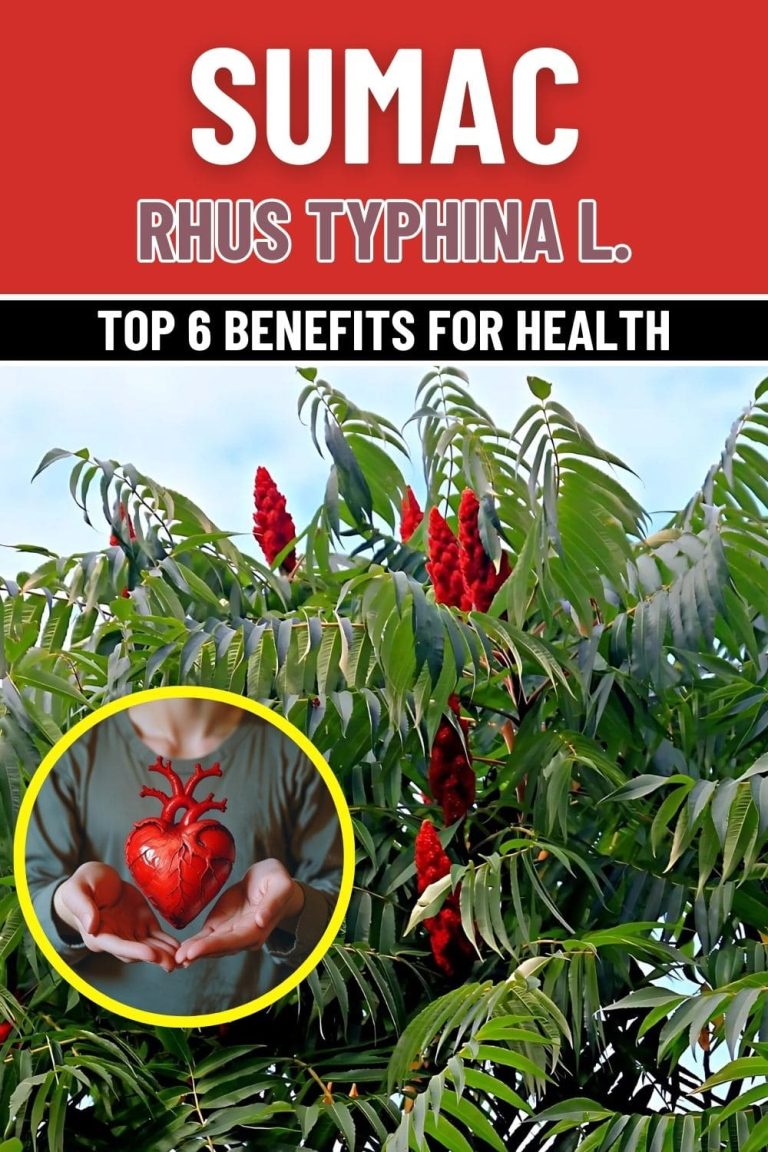 Sumac: A Tangy Spice with Remarkable Health Benefits