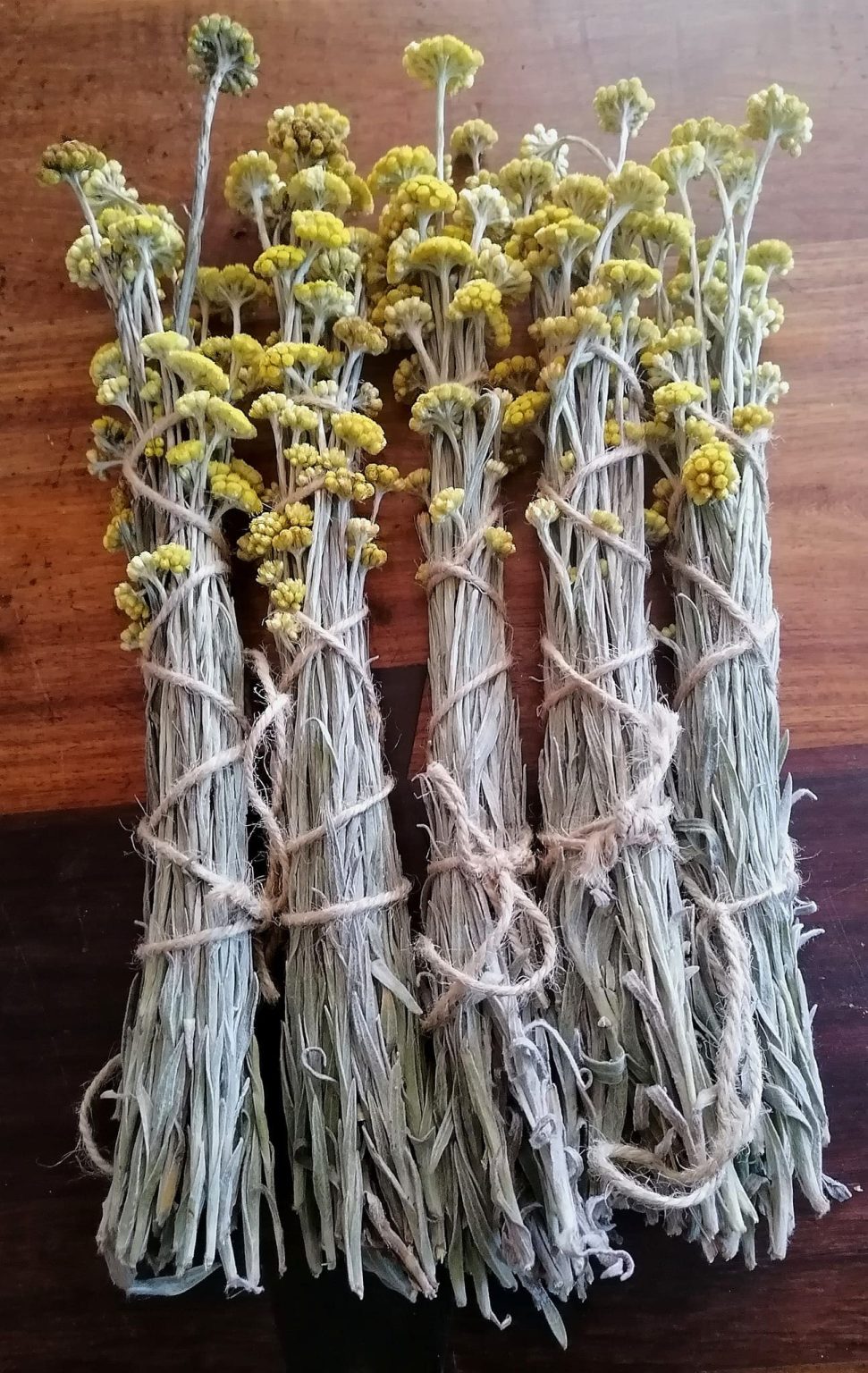 Amazing Benefits of Impepho As A Spiritual And Healing Herb