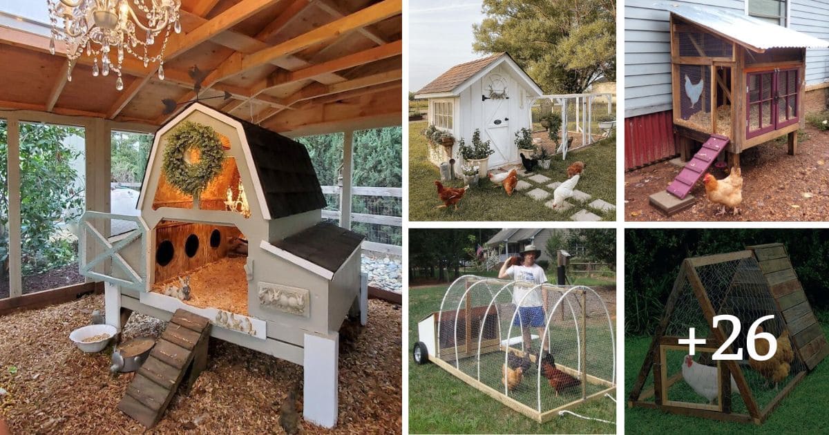 30 Creative Chicken Coop Ideas to Optimize Space for Your Flock