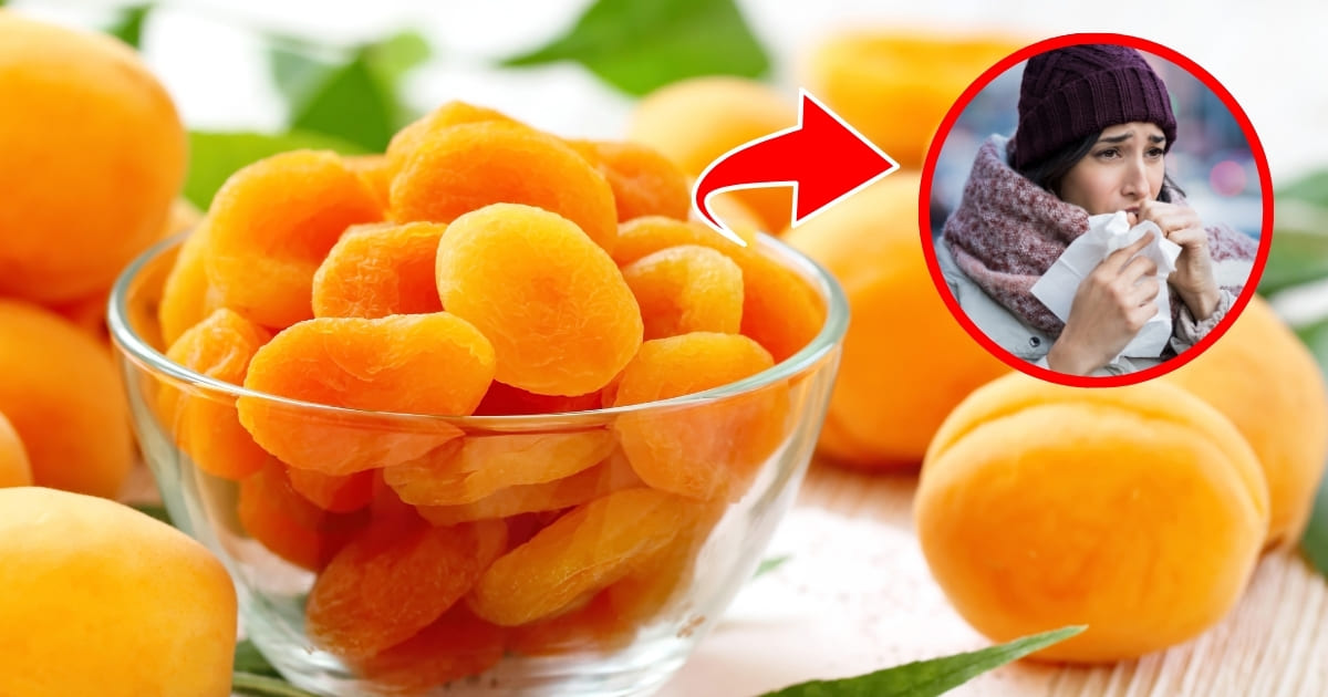How Eating Dried Apricots This Winter Can Keep You Energized and Healthy