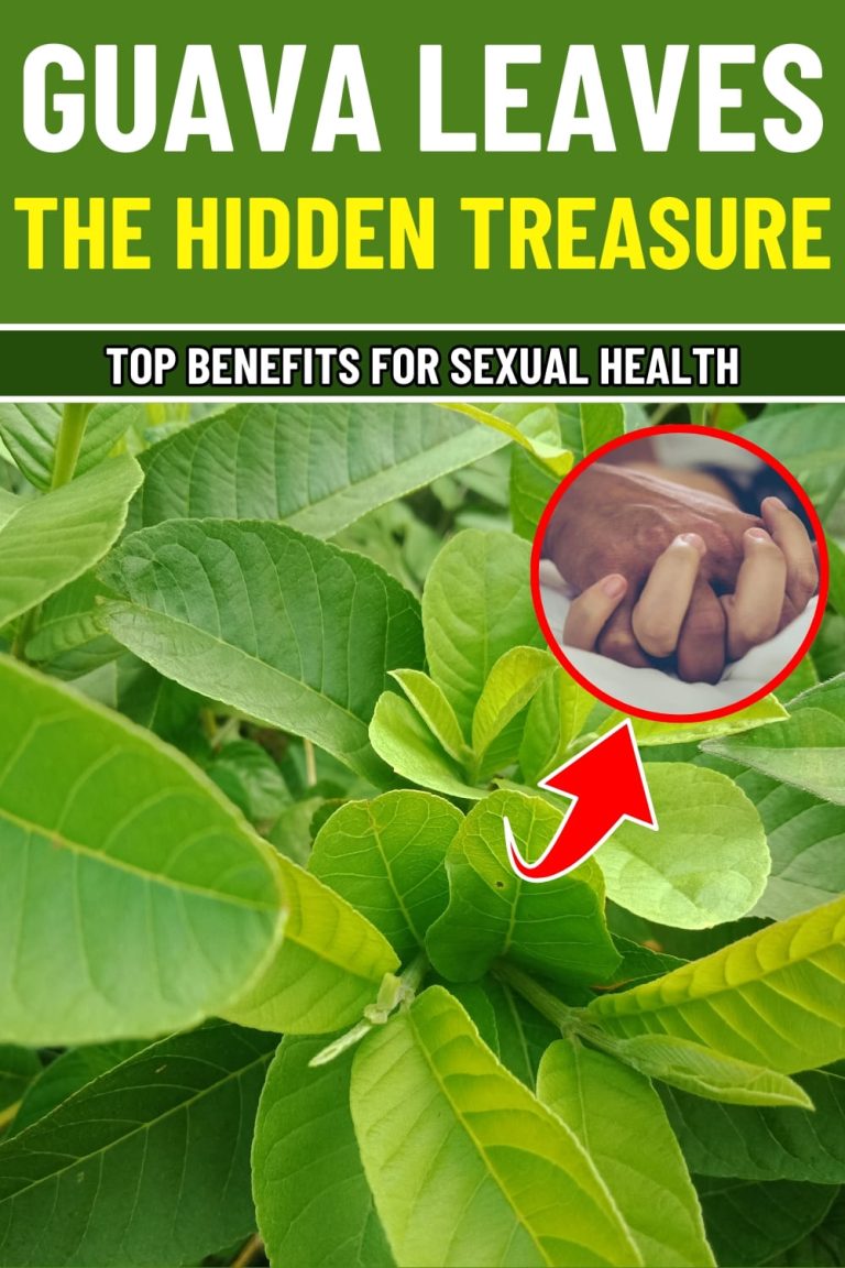 The Hidden Treasure: Benefits of Guava Leaves for Sexual Health