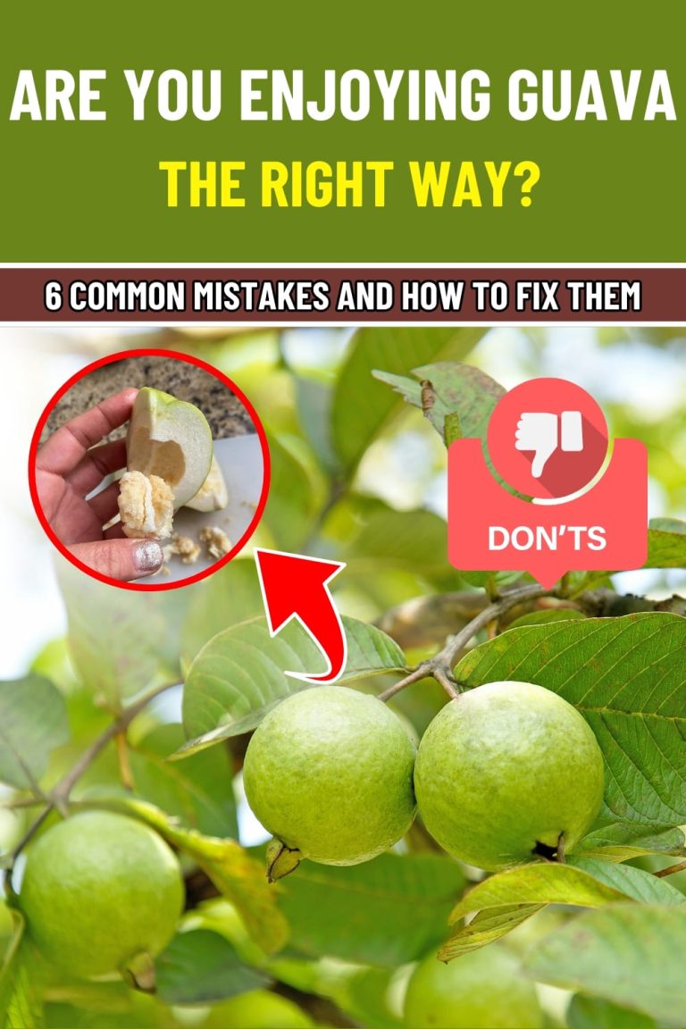 Guava Gone Wrong: 6 Common Mistakes and How to Fix Them
