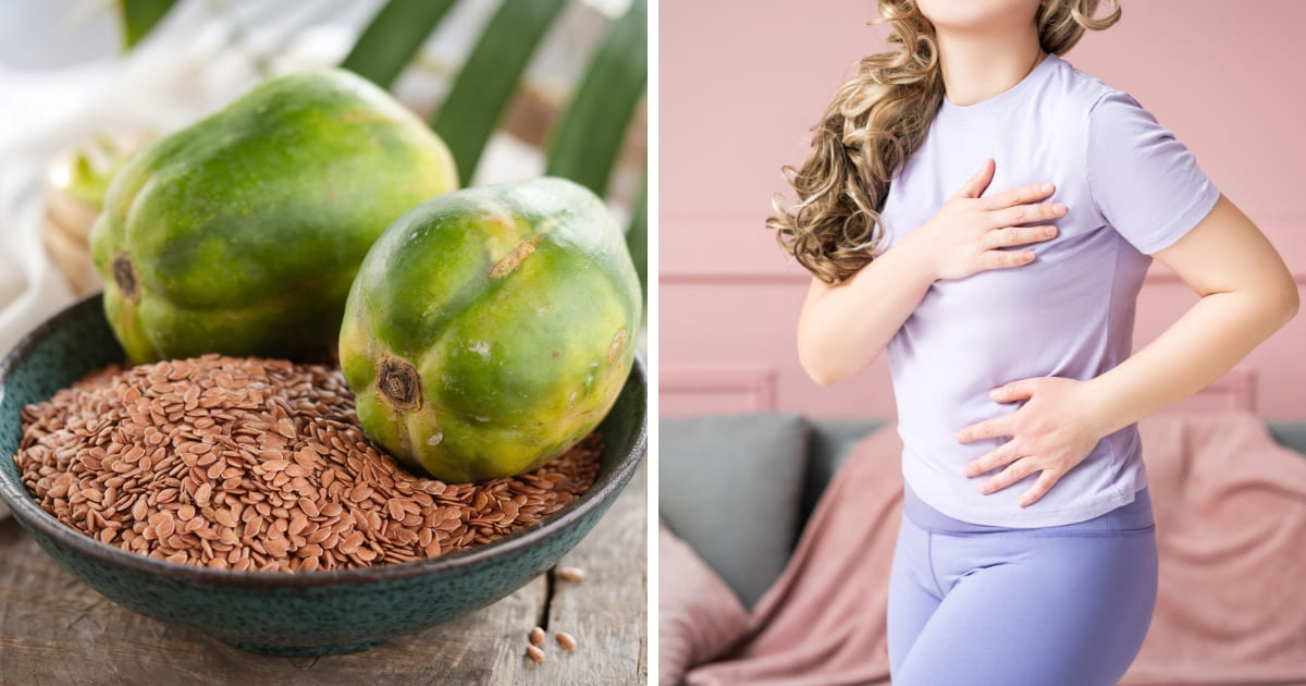 25 Fun and Practical Plastic Bottle Crafts For Home And Garden