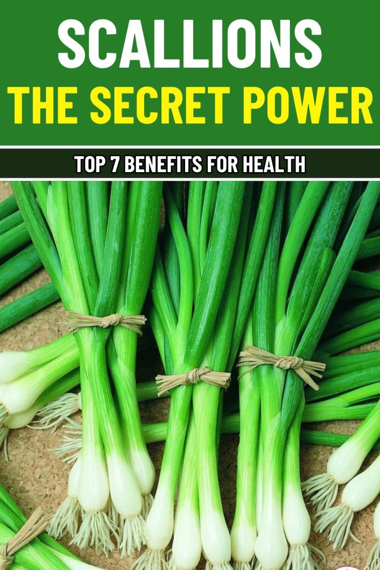 The Secret Power of Scallions: 7 Health Benefits You Never Expected