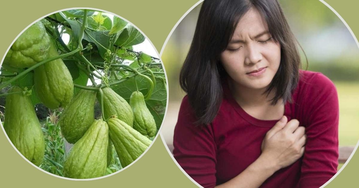 7 Amazing Health Benefits of Chayote You’ve Been Missing Out On