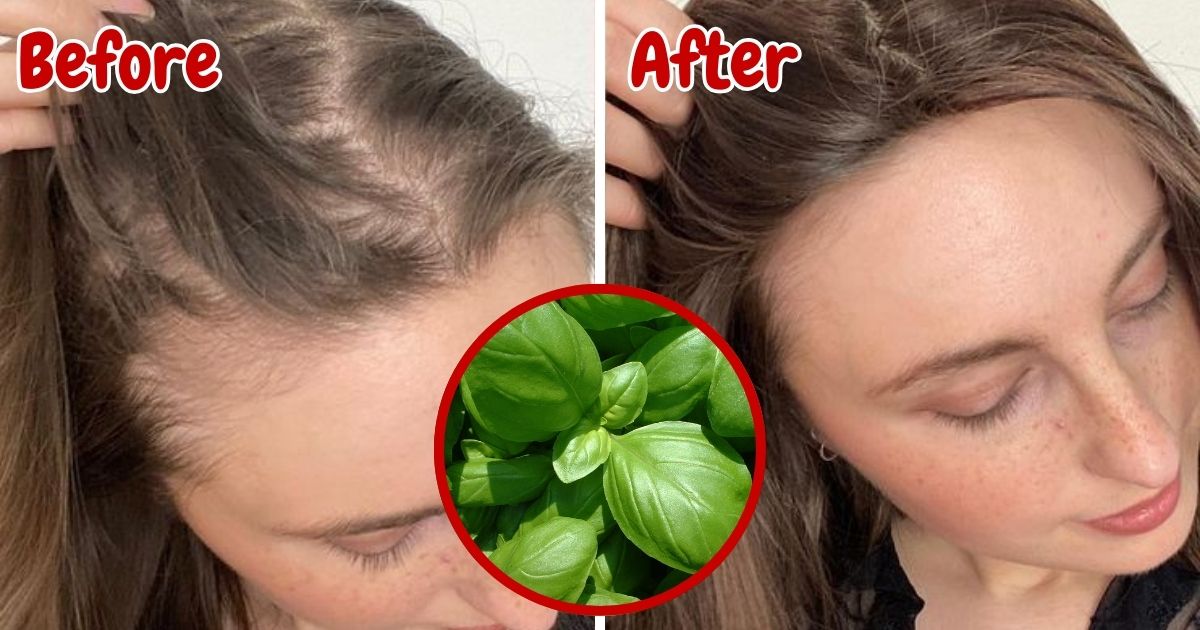 Basil for Luscious Locks: The Secret Herb Your Hair Deserves