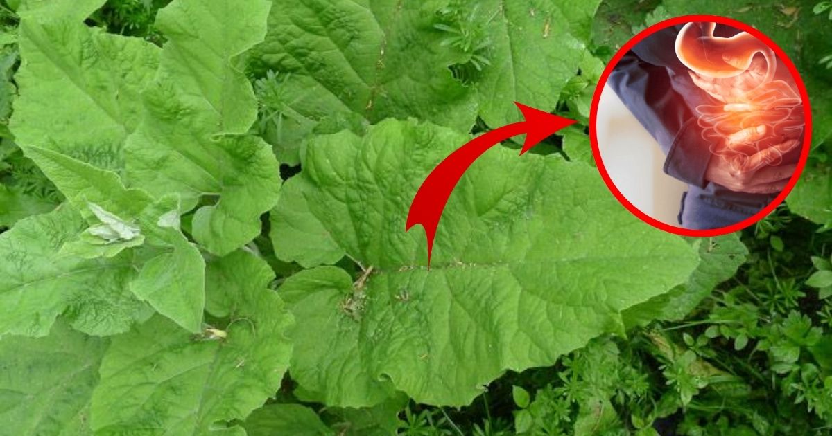 30 Sexy Dark Red Nails Perfect For Winter