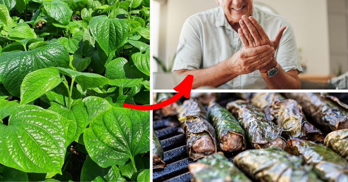 Lolot Leaves: The Nutrient-Packed Supergreen You Should Be Eating