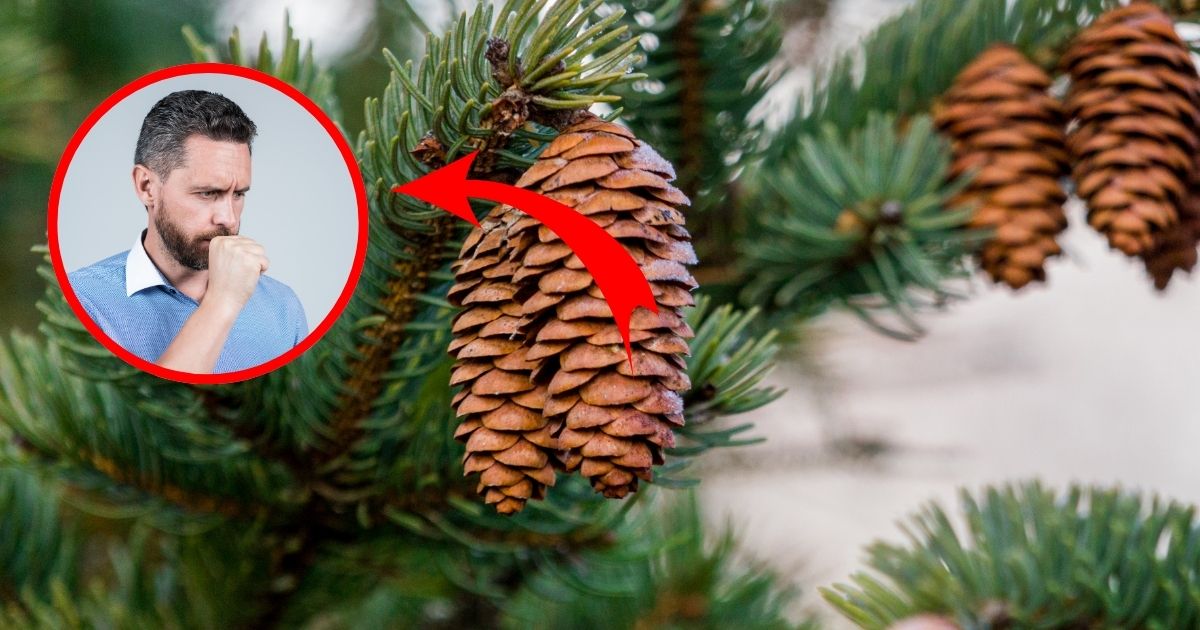 The Glowing Skin Secret: How Vaseline and Lemon Transform Your Complexion