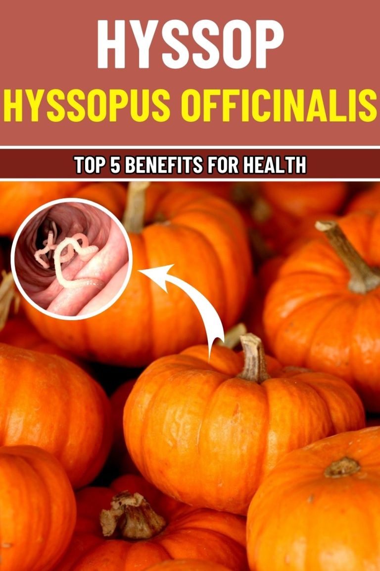 Do You Know That Pumpkin Can Naturally Expel Parasites and Worms?
